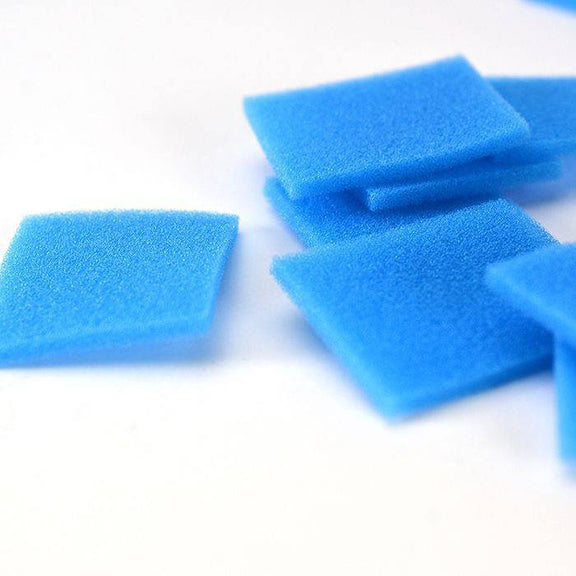 BIOPAD BIOPSY PAD - BLUE