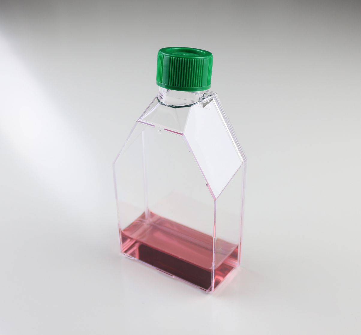 Tissue Culture Flask 25cm² (plug seal cap) | Global Scientific